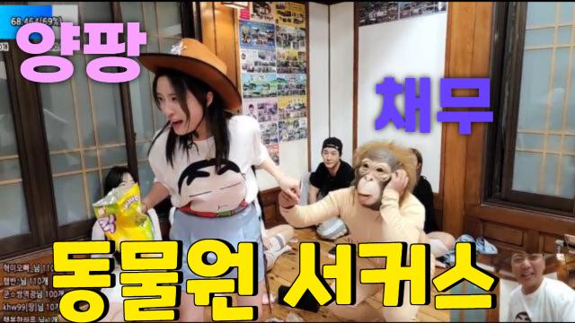 [클립][최가네 M.T] 동물원 서커스 .1 (양팡,채무) | SOOP VOD