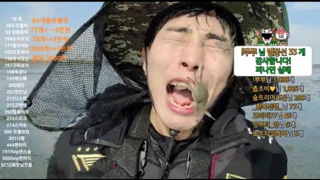 도브스 선정 하루 1번씩 꼭 봐야할 영상 | SOOP VOD