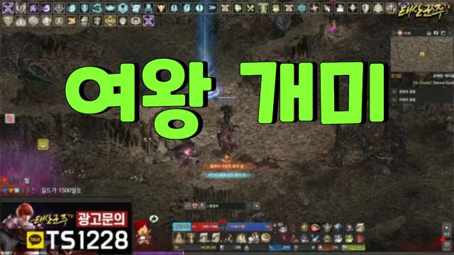 🔴"신화스킬 감사합니다" 101레벨 성기사 & 리니지 리마스터 | SOOP VOD