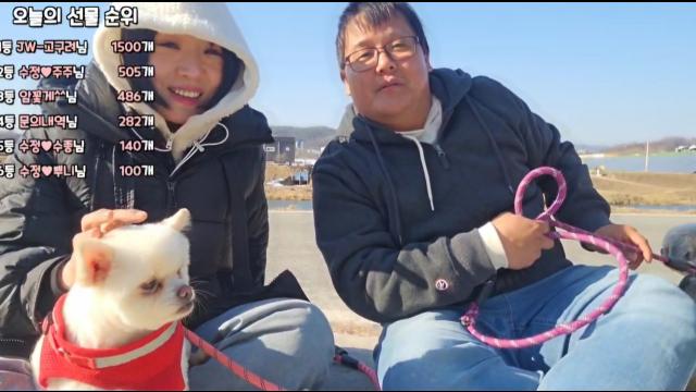 344회유기견봉사x반숙 | SOOP VOD