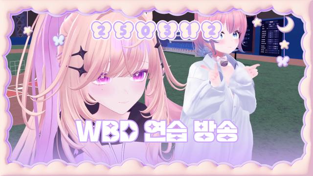 하이디 1기 WBD 연습 2일차~ (๑•᎑•๑)ｰ | SOOP VOD