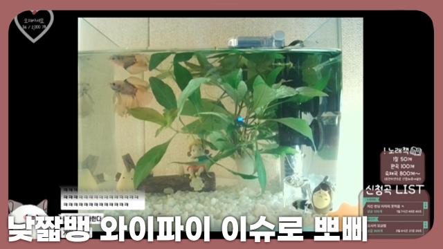 🔺03 . 24 | SOOP VOD