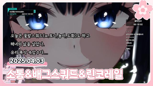 [뉴걸]린코레일 거의처음 api맛집 | SOOP VOD