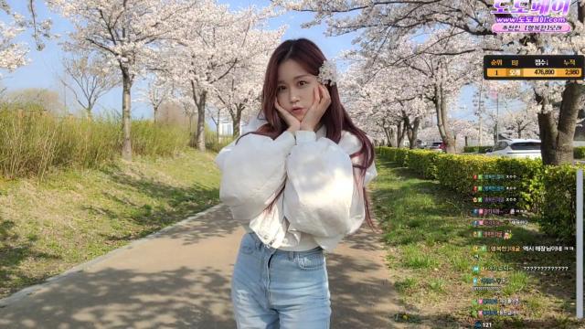 강릉 경포 용돈여행🌸 +77, -78, ±79 | SOOP VOD