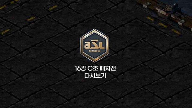 16강 C조 패자전 / ASL S19 | SOOP VOD