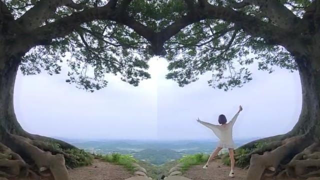 부여 여행 +77 -78 ±79 | SOOP VOD