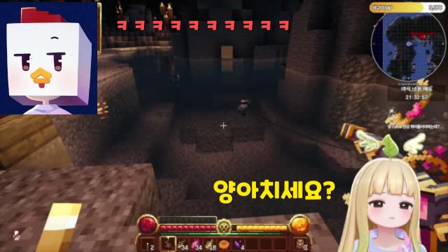 [망구랑] 수탉의 api 1000개 별풍 (이득 본 망구랑) | SOOP VOD