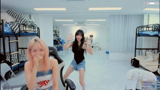 [JUP:시스타]시그교육 갑니다 w.JSA 한쪼니 | SOOP VOD