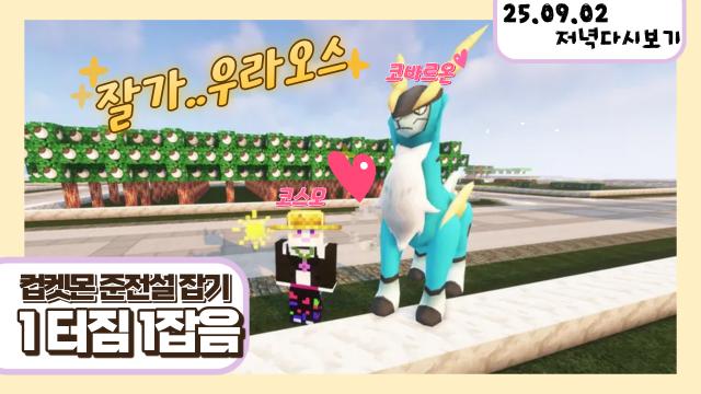 [지하꼬/뉴걸]컵켓몬..준전설1터짐1잡은 날..!api감사합니다아아 | SOOP VOD