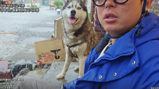 [클립]충남)홍수대피령ㅡ서산/아산 강수량419mm | SOOP VOD