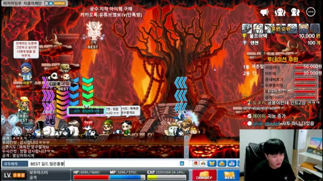 메이플랜드 보우마스터 피아누스샤프30북득 멸망전-D4 메랜 | SOOP VOD