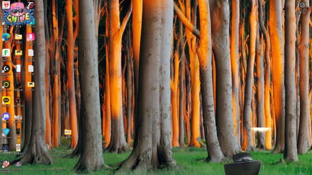 [씨나인] 스타 윤진규 거인꿍 SSL뚫습니다. 스폰환영^^ | SOOP VOD