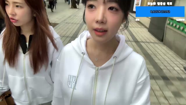 케이대 ASL장윤철응원 보혜x뽀뇨x찌킹x늑채 | SOOP VOD