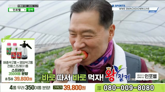 [생]WWE스맥다운(생방송)1345회-맞즐쪽지로-채널A낚시방송YTN연합뉴스MBN일본TV조선애니대구먹방r2 | SOOP VOD