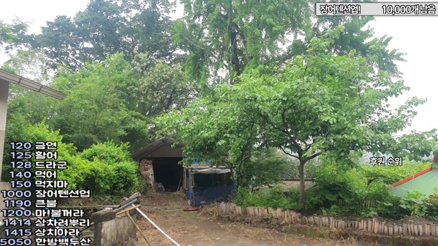 감동이였습니다 비긴오네요 징이tv | SOOP VOD