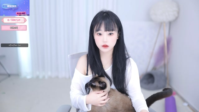 검스 여캠 1442움짤정성방셀 10팬갑1퀵뷰 | SOOP VOD