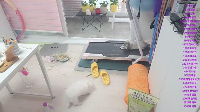 신입여캠)청순글래머 자연g컵 오늘만 175개 팬가입시 섹시쪽셀3장ㅗㅜㅑ | SOOP VOD