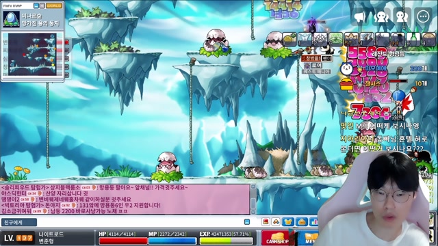 메이플랜드 7월25일 혼테일 공대 짭니다. 137 나이트로드 | SOOP VOD