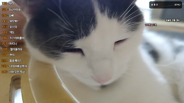 편의점 다중핀볼 메뉴 1개 50개!/ | SOOP VOD