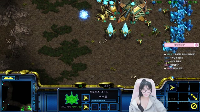 [JSA:유스] 김쮸랑 사람 될래말래될래말래 (스폰x) | SOOP VOD